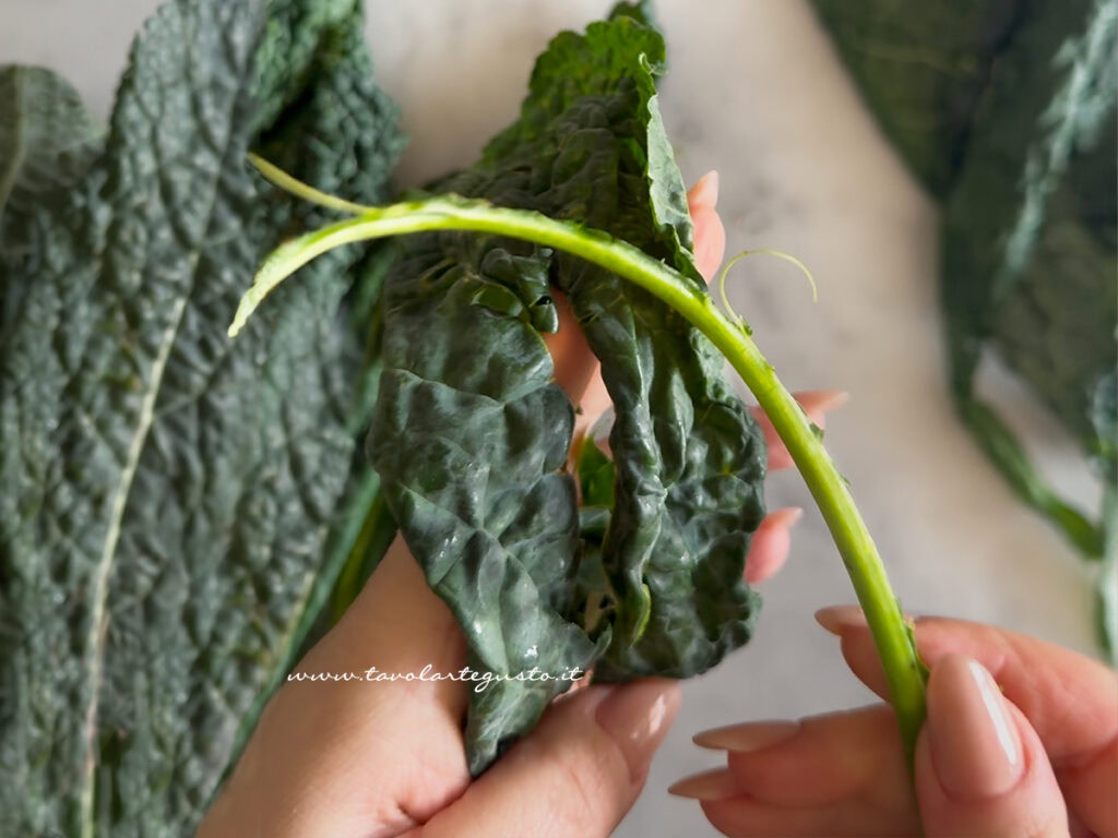 Come pulire il cavolo nero : Consigli e Video di Tavolartegusto